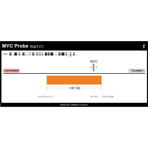 IGH/MYC FISH Probe - Resnova