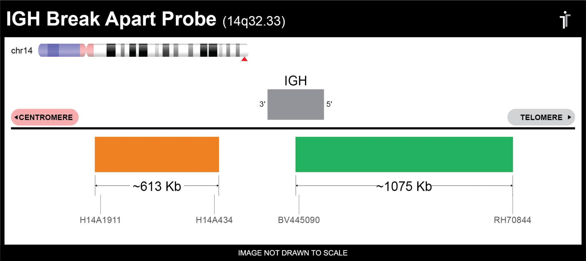 IGH Break Apart FISH Probe - Resnova