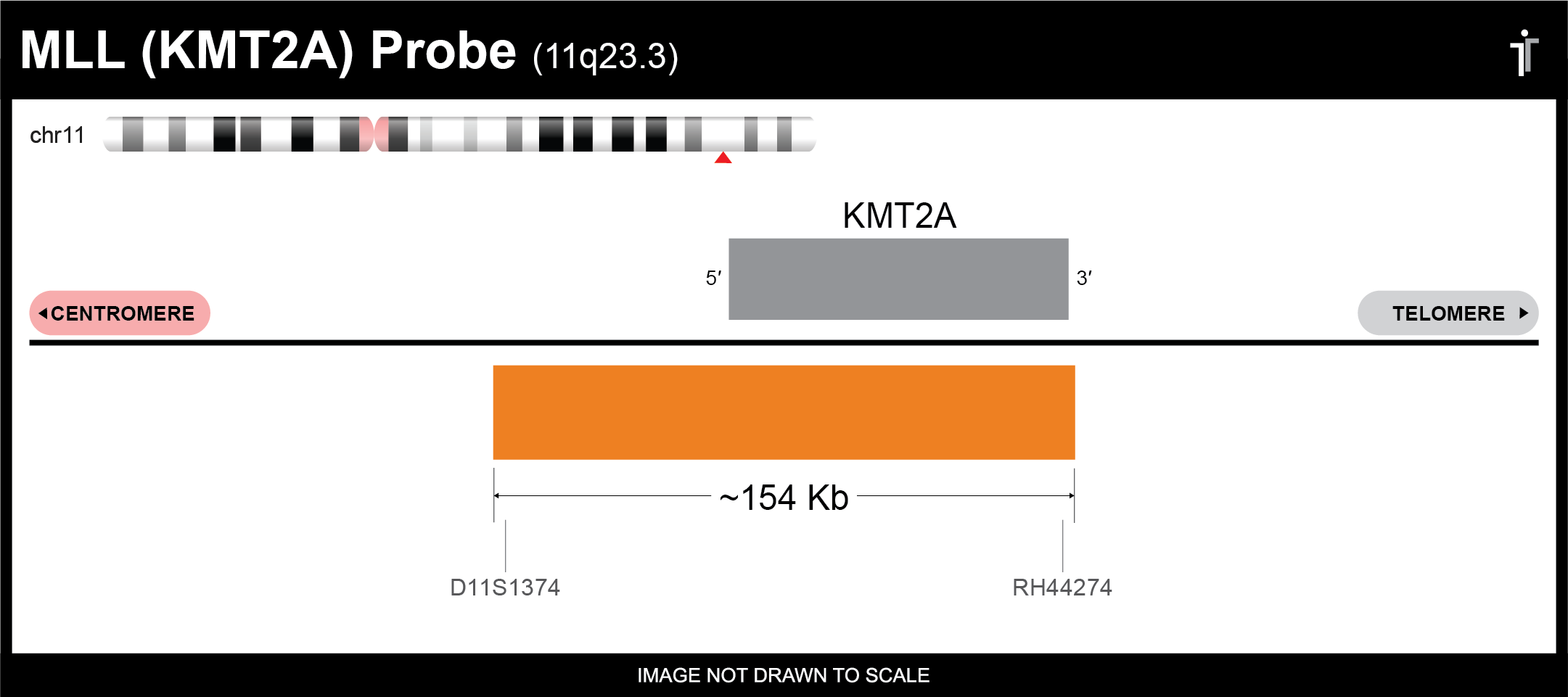 MLL (KMT2A)/AFF1 FISH Probe - Resnova