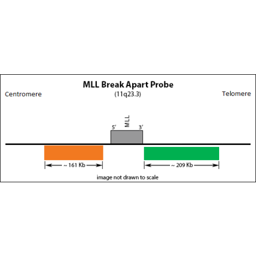 MLL BREAK APART FISH Probe - Resnova